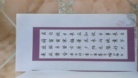 喻江南硬笔书法讲座视频-基本笔画12(撇折,撇点)
