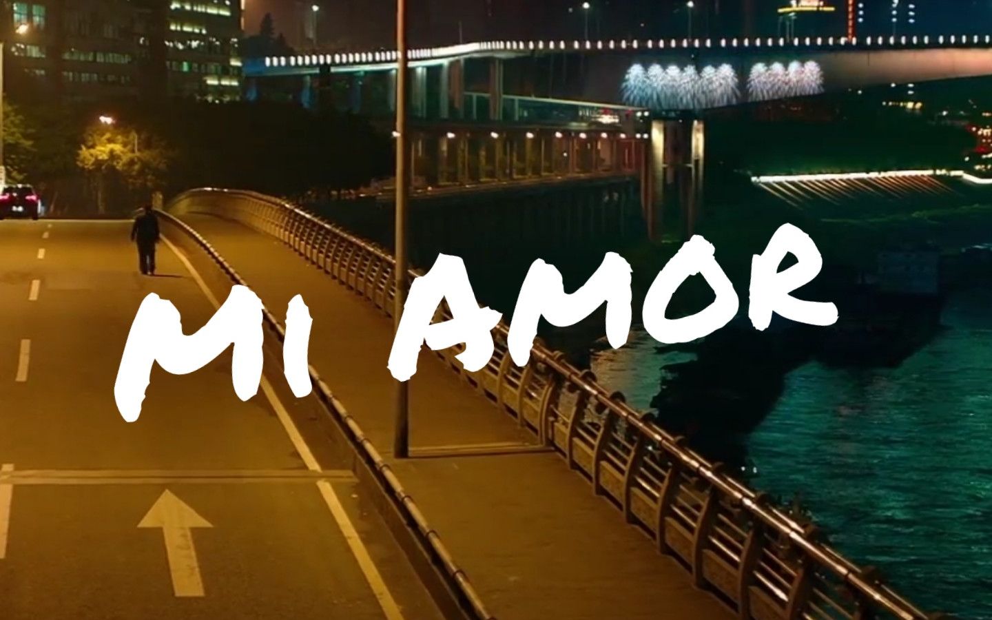Mi Amor | 从你的全世界路过