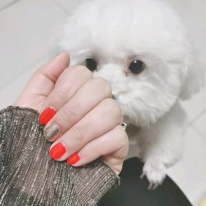 非吻今天写字了吗 