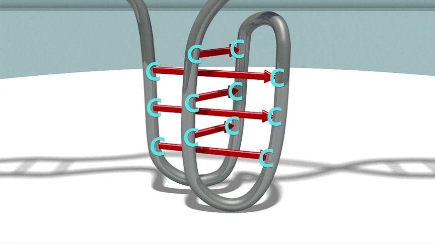 科学家发现新型 DNA 结构,作用重大