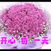 苹果醋99465016 