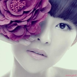 张哇塞的旅行日记