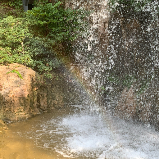 VangSum 