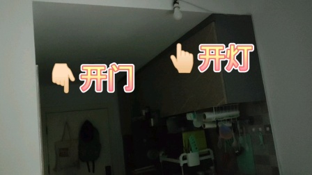 开门即开灯,得邦智能LED灯泡测评