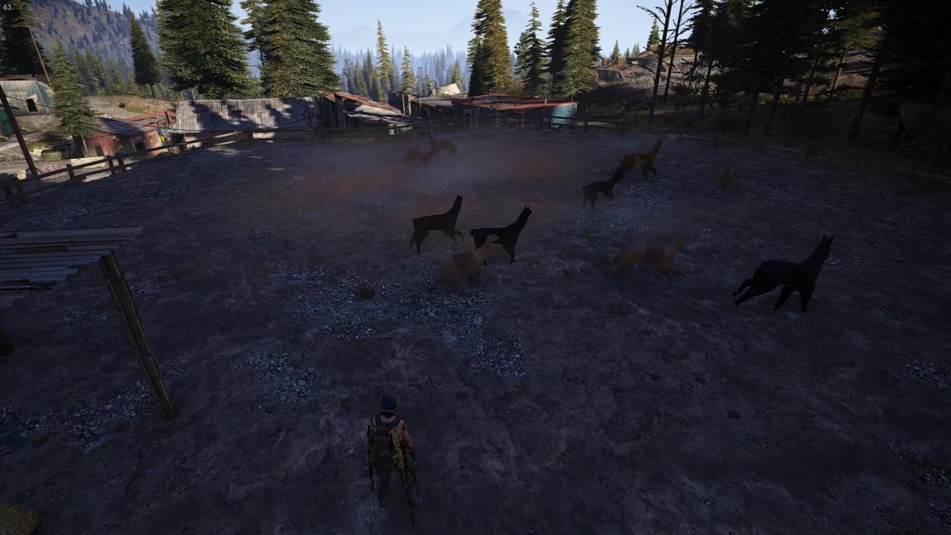 《幽灵行动:荒野》为什么我喜欢荒野?