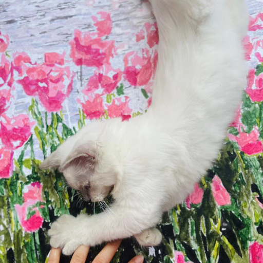 怪物子子子 