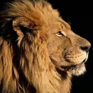 葡萄和柠檬兄弟 