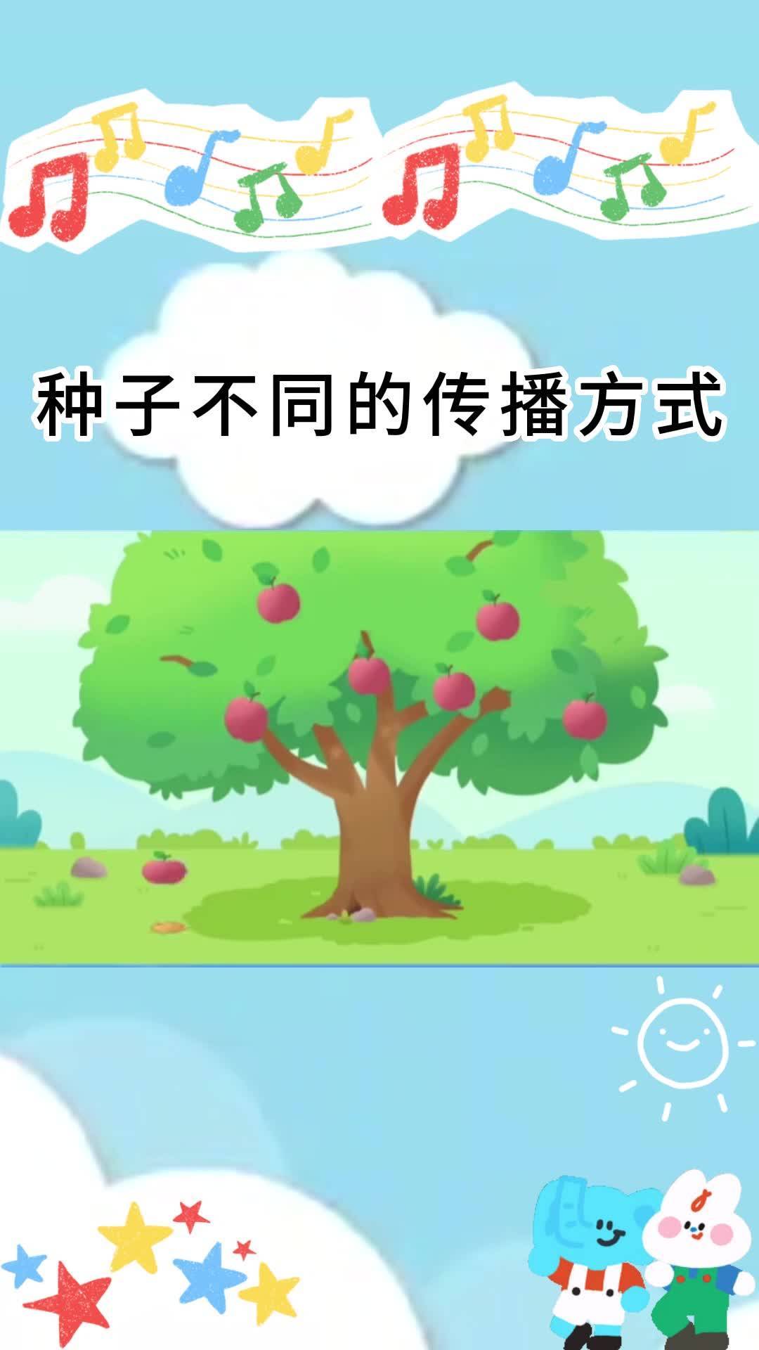 种子不同的传播方式