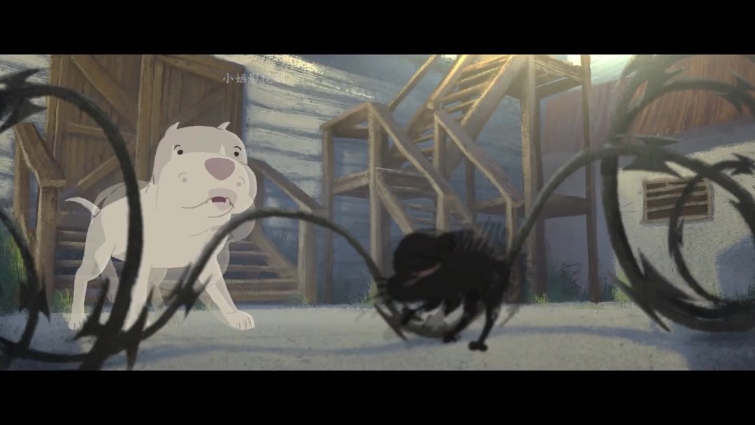 皮克斯最新治愈系动画 小野猫与斗牛犬 奥斯卡最佳短片
