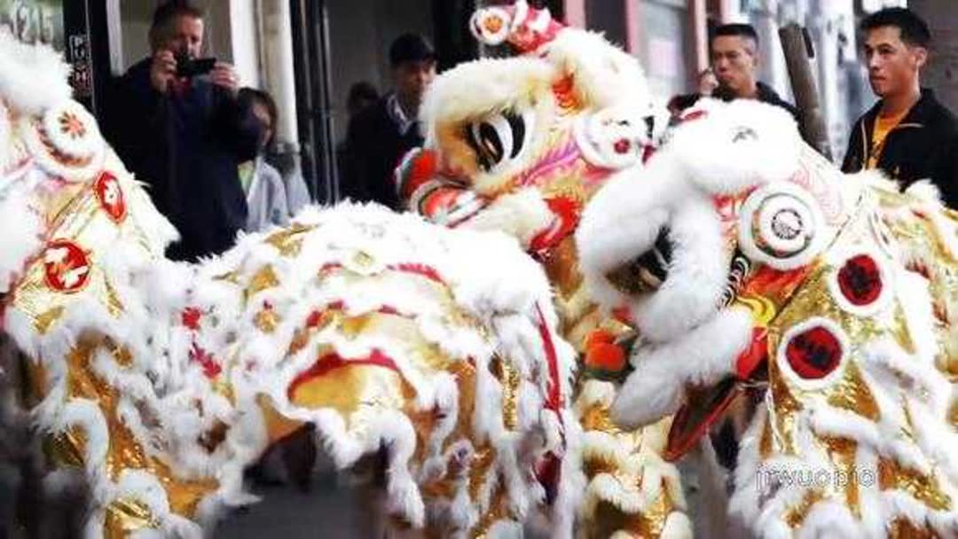 实拍中国舞狮队在越南表演,太好看了,这才是舞狮