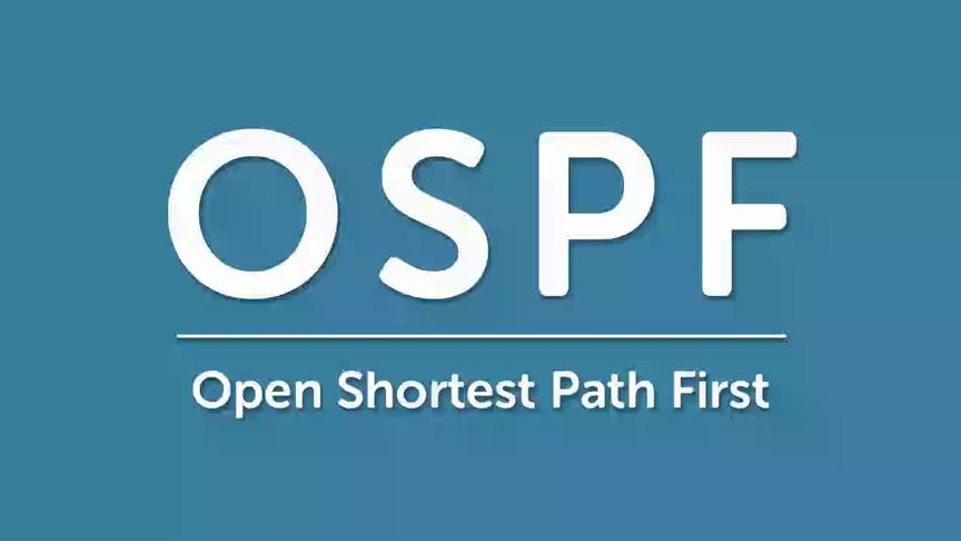 OSPF超详细解释