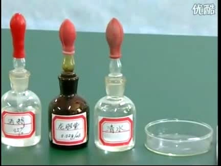 实验:观察植物细胞的有丝分裂