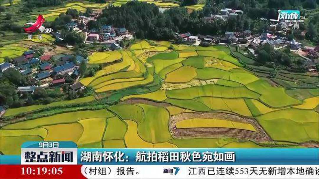 湖南怀化:航拍稻田秋色宛如画