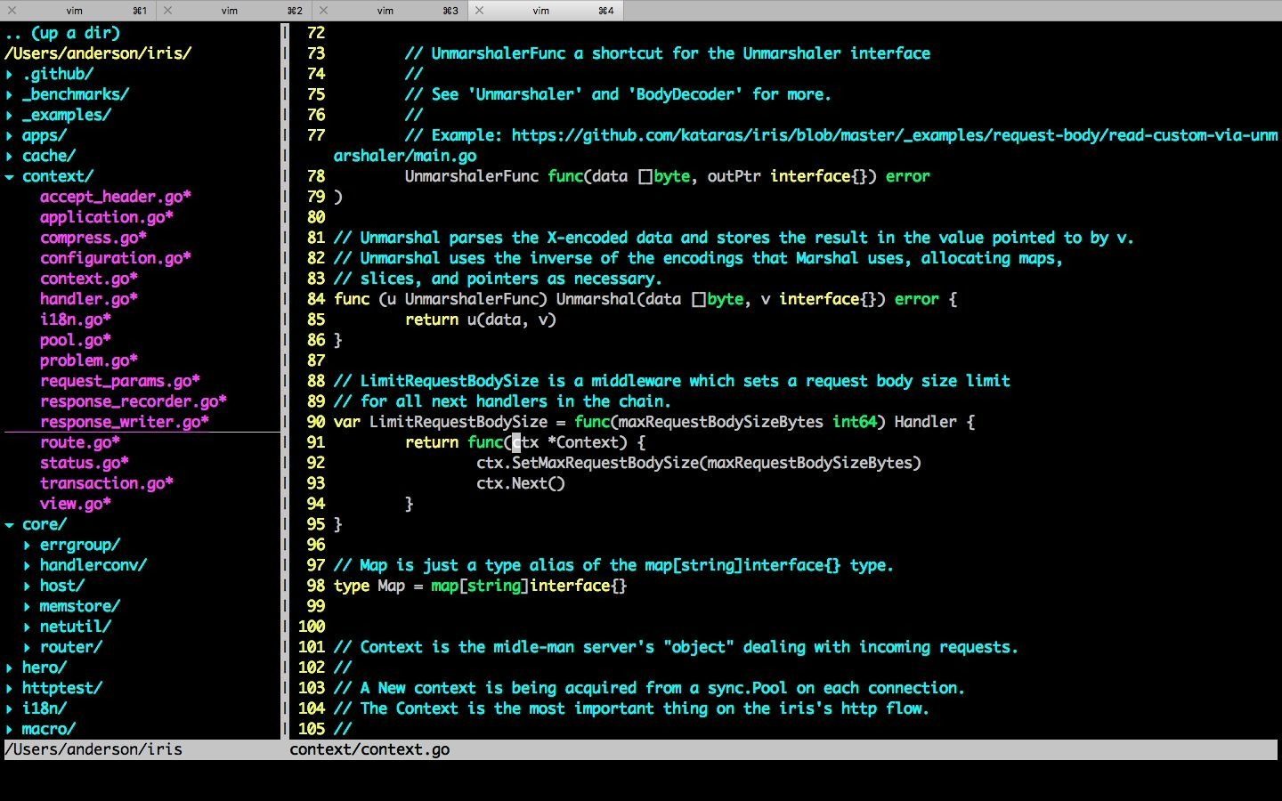 大龄产品经理学golang第82天:宇宙最快的web框架iris之context学习