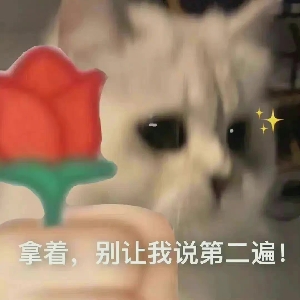 一只乐依依 