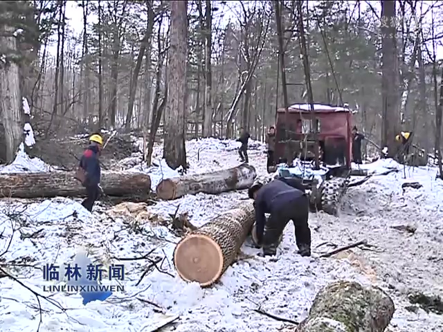 临江林业局副局长黄吉文到林场检查调研木材生产安全工作