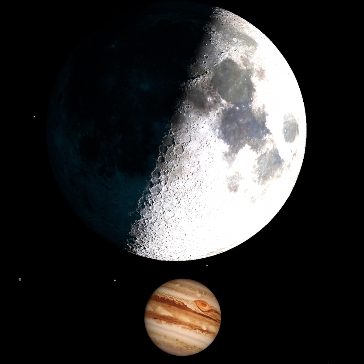 羞答答的三叶草 