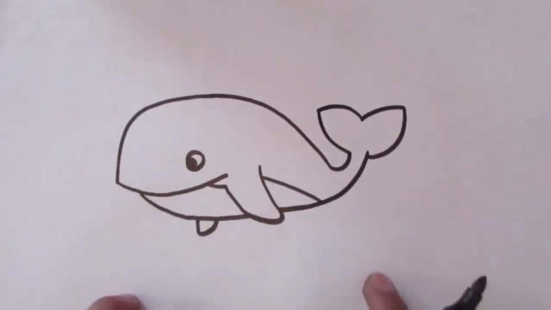 儿童宝宝学画画:如何为孩子们画一条简单的鲸鱼