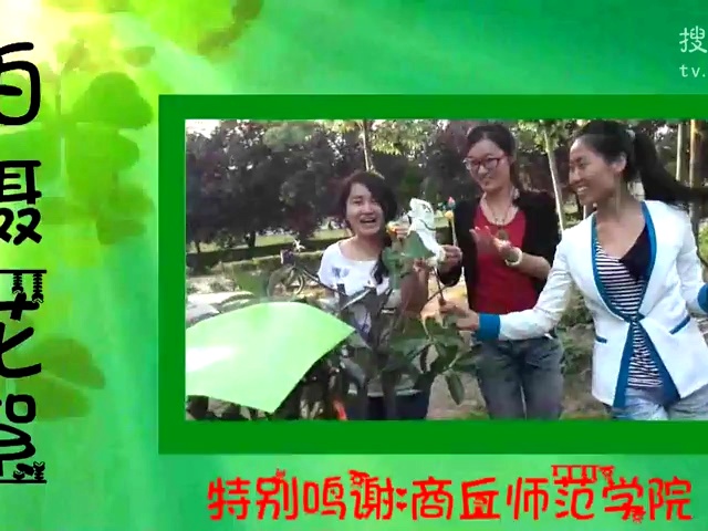 《愤怒的小鸟》11级历史系文管专业517宿舍