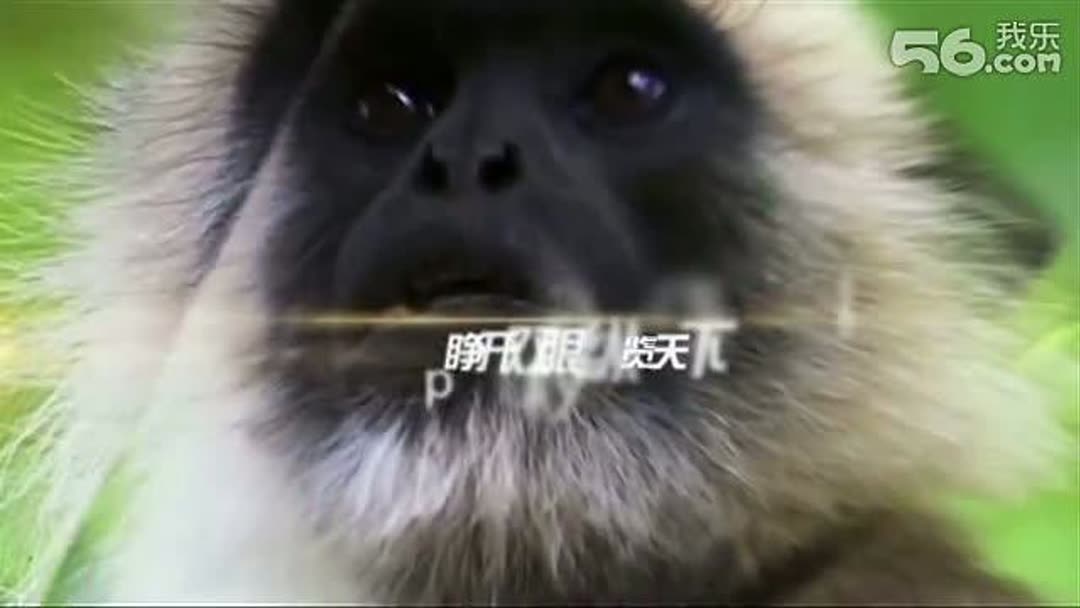 CCTV发现之旅-30秒宣传片