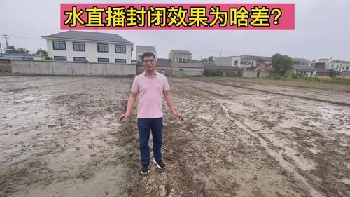 直播稻,为啥封闭效果差
