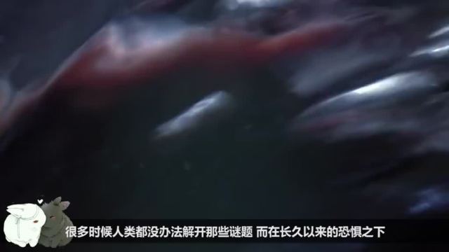 为何老人临死前,猫头鹰都会在不远处冷笑?镜头记录下全过程