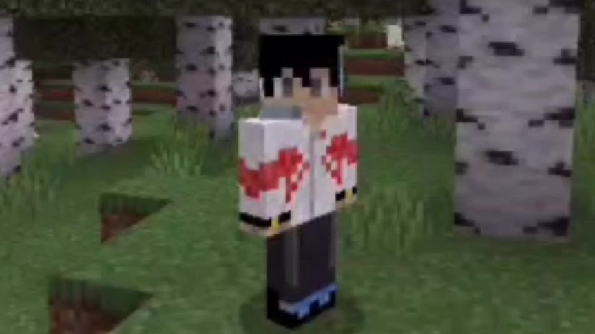 #我的世界 后面的我也做过处理了,应该不会被封号吧?