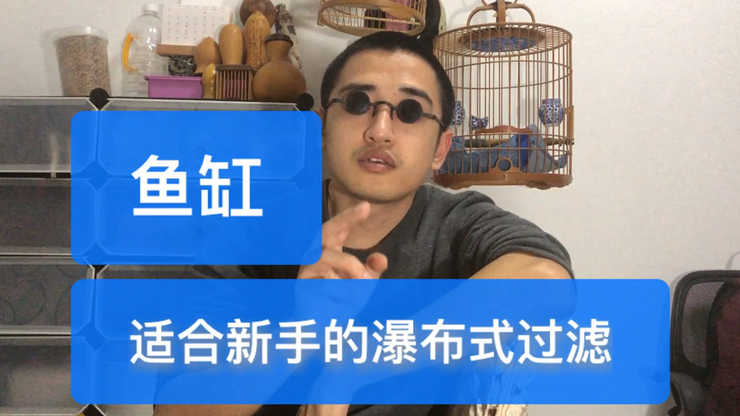 鱼缸适合新手的初级入门壁挂式过滤,也形象的叫做瀑布式背挂过滤