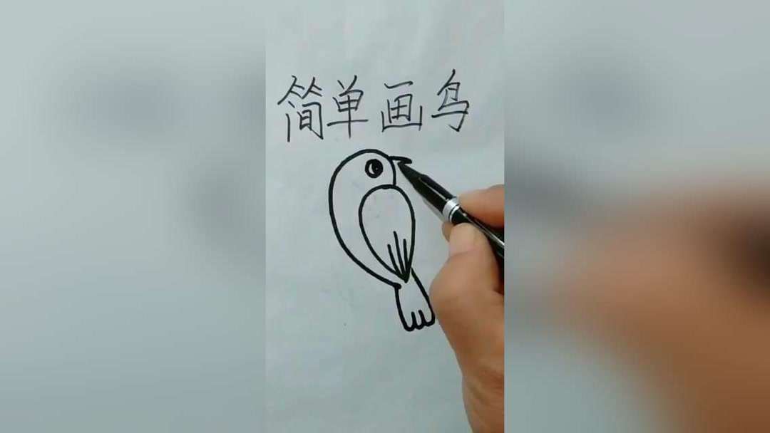 简笔画：用简单的笔画画鸟