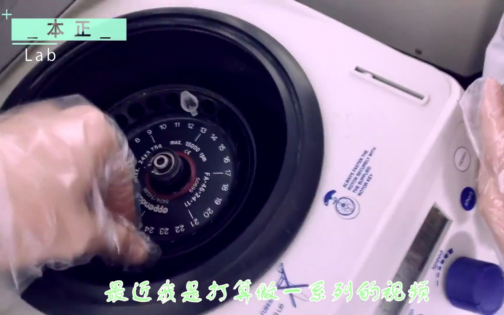 亲手造一株转基因植物 1.酚-氯仿法提取拟南芥总DNA
