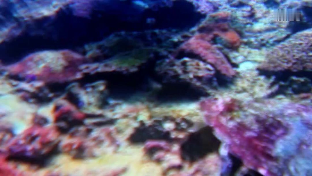 VR虚拟现实眼镜看电影效果