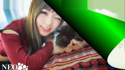 会声会影转场特效