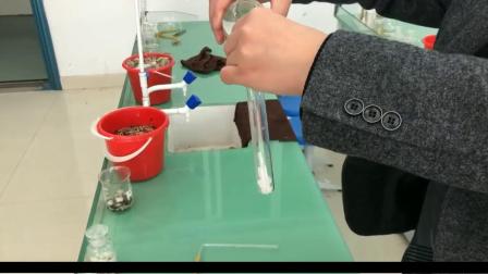 中考实验之二氧化碳的制取与性质