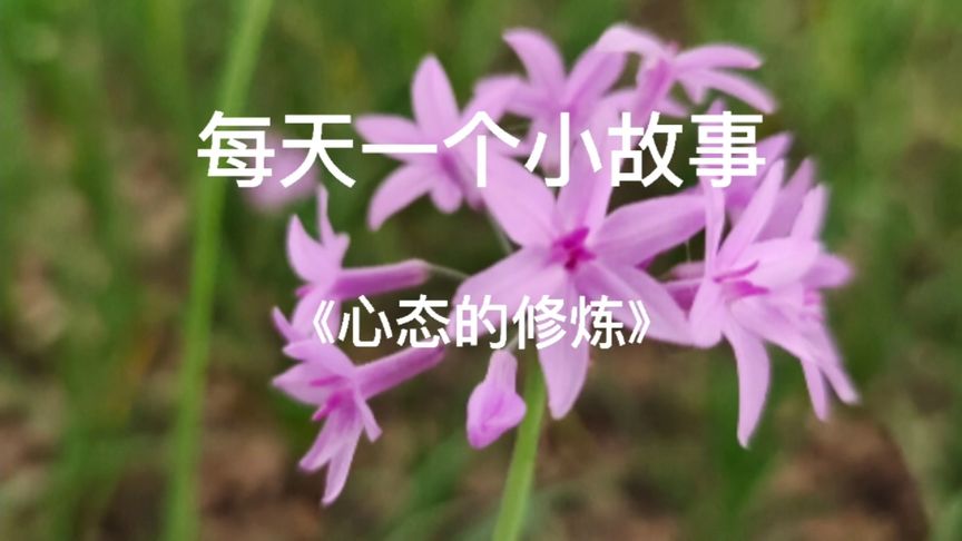 至尊:心态修炼的最高境界丨控制怒气|永远都是胜利者