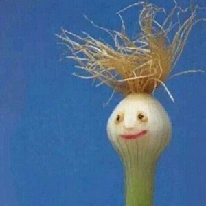 软软的小面包呀 