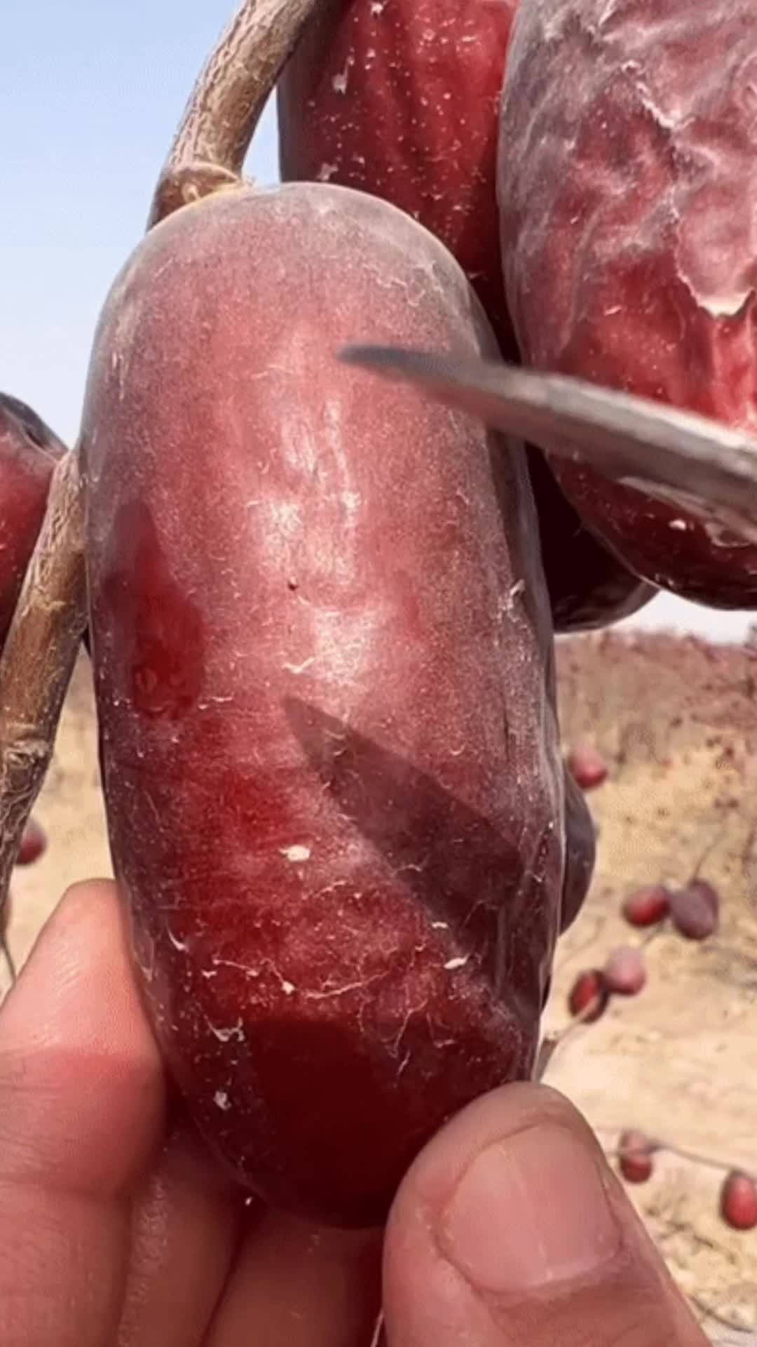 #优质农产品 #抖音助农#三农 #和田大枣 #好物推荐 @DOU+小助手 