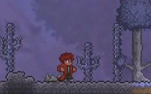 【泰拉瑞亚1.3】双人专家难度开荒实况第二期:有新的ed了~