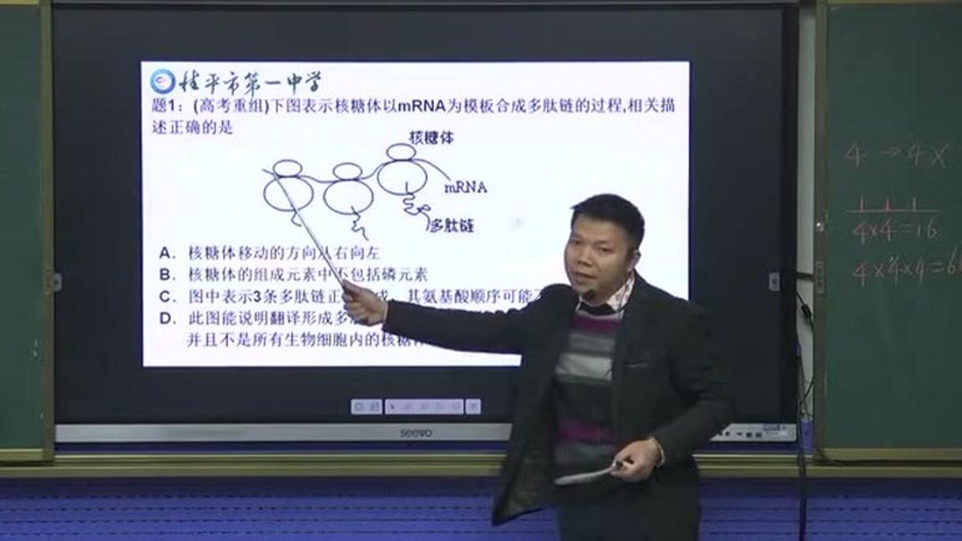20200202生物-基因的表达