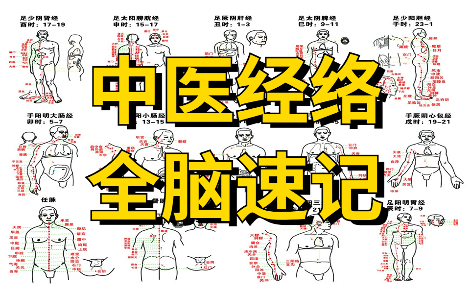 ...十二正经,奇经八脉,全文背诵 手阳明大肠经循行及定位记忆 中医考研...