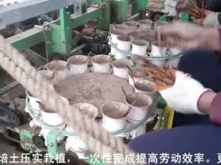 油用牡丹牵引移栽机 李经理18953641560