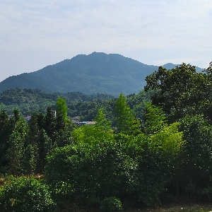 湘醴li小曾Q 
