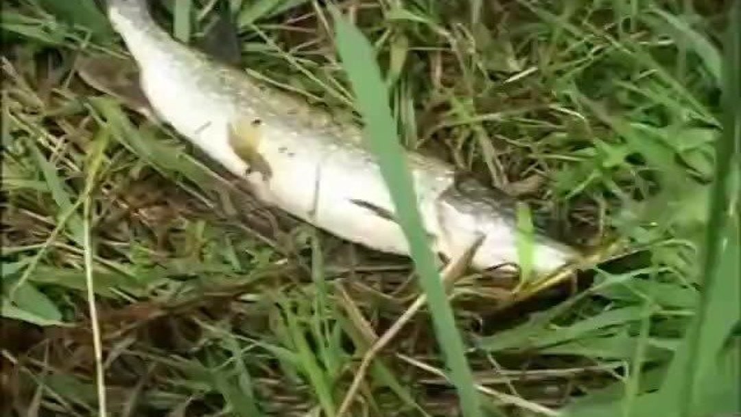 铅坠和钩之间的距离怎么调节