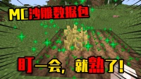 我的世界:小月带你玩MOD 第227集 只要盯着植物就能长大!这么神奇的...