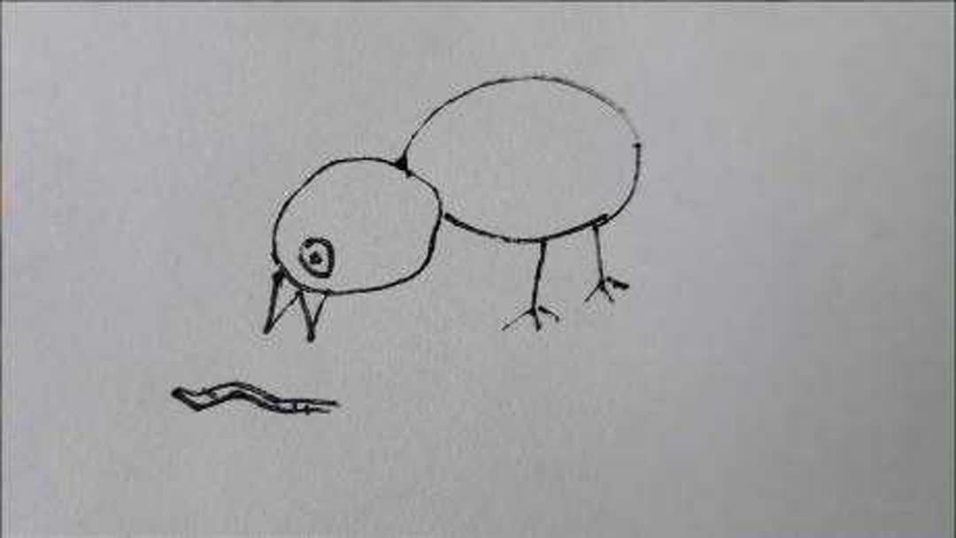 简笔画,画一只小小鸡。