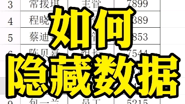 Excel如何隐藏数据