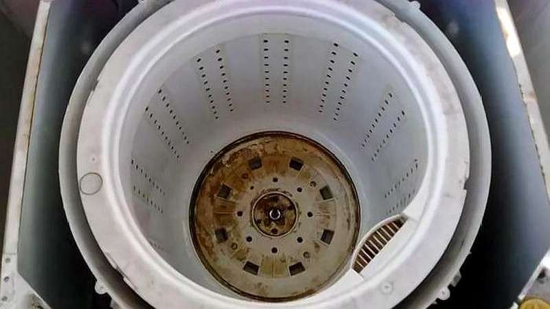洗衣机那么脏却从来不清理,只需一个技巧,不用拆也能洗干净