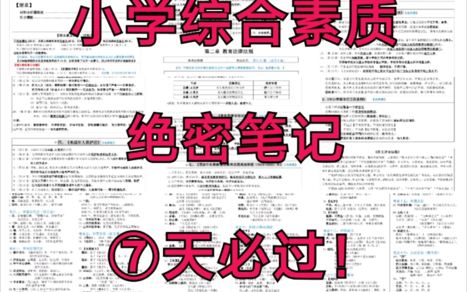【教资笔试】小学综合素质——绝密笔记!一周过!