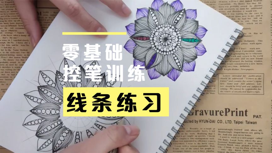 黑白装饰画|禅绕画|零基础线条练习|两朵小花花