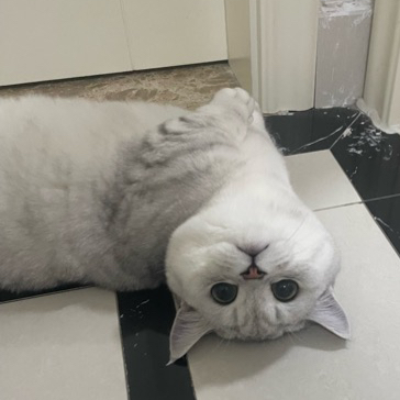 曾听昆明有雪° 
