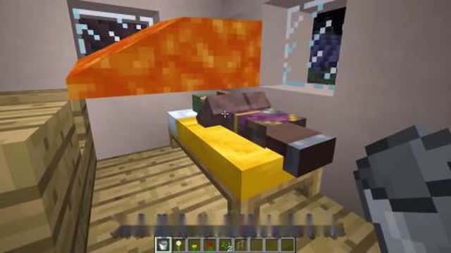 我的世界:村庄里的村民睡觉中是无敌的?